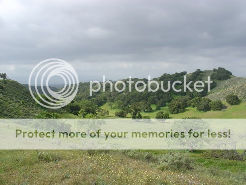 Chamberlin Ranch- Traditional Archery shoot. | BladeForums.com